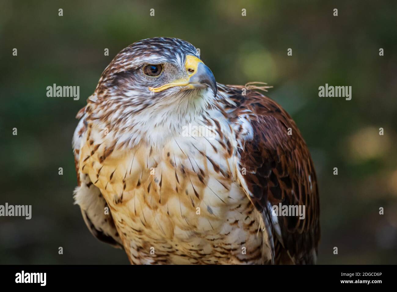 Side angle photo hi-res stock photography and images - Alamy