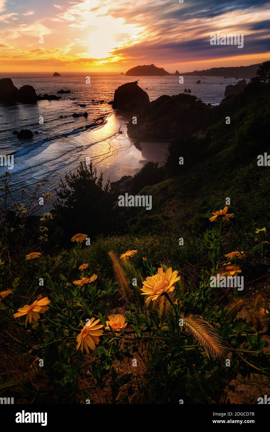 Beautiful image of the ocean and beach hi-res stock photography and ...