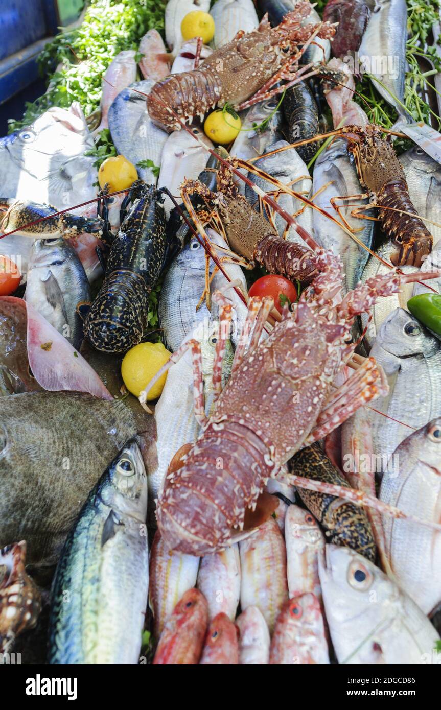 Fish and seafood Stock Photo - Alamy