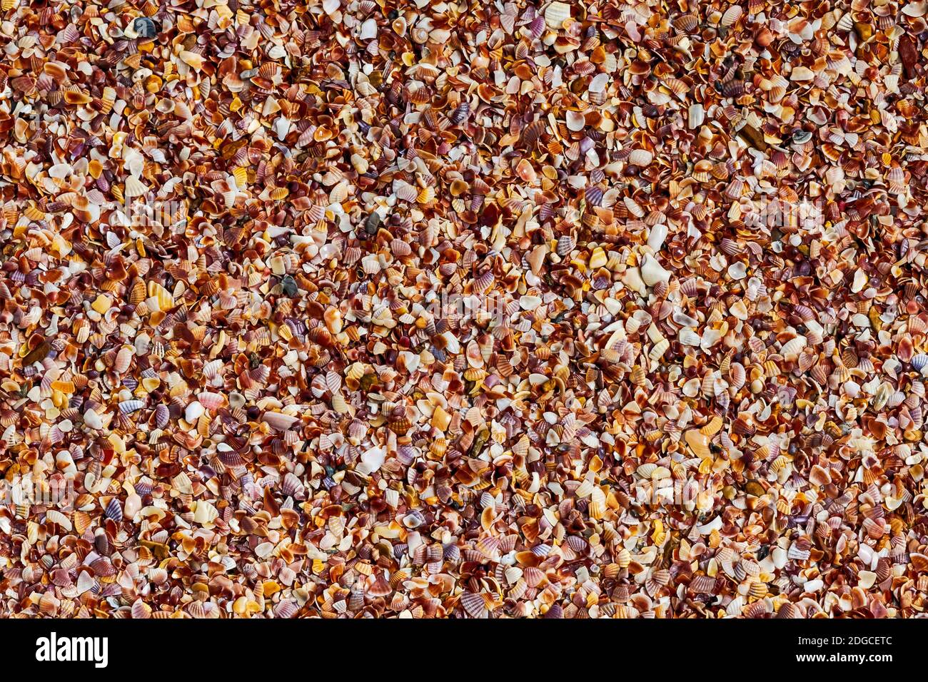 Background the beach darkly brown many splinters which are pulled down ...