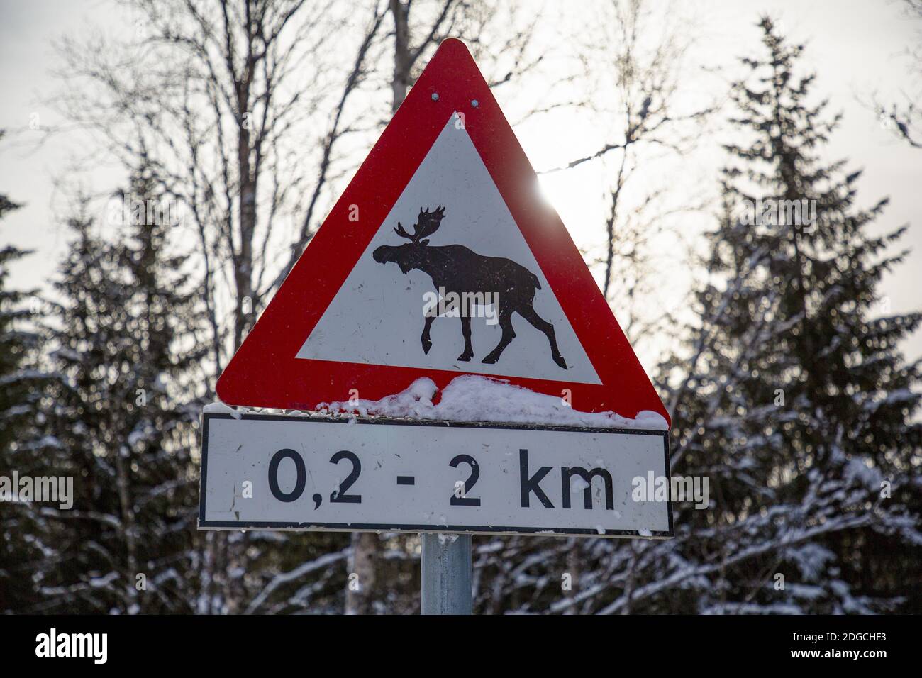 Road sign Moose Stock Photo - Alamy