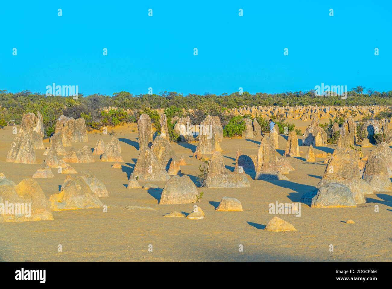 The pinnacles wa night hi-res stock photography and images - Alamy