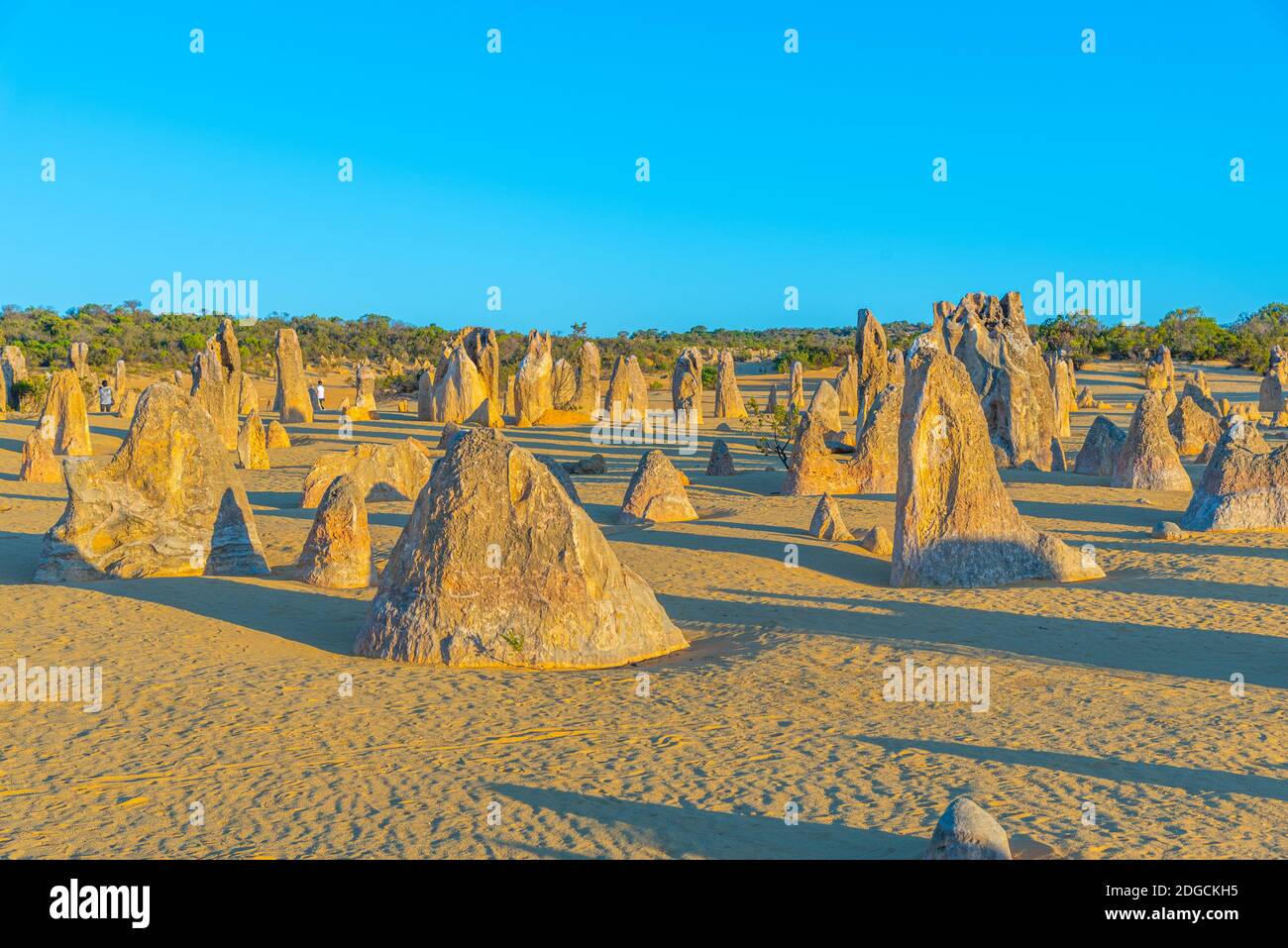 Sunset over the Pinnacles desert in Australia Stock Photo - Alamy