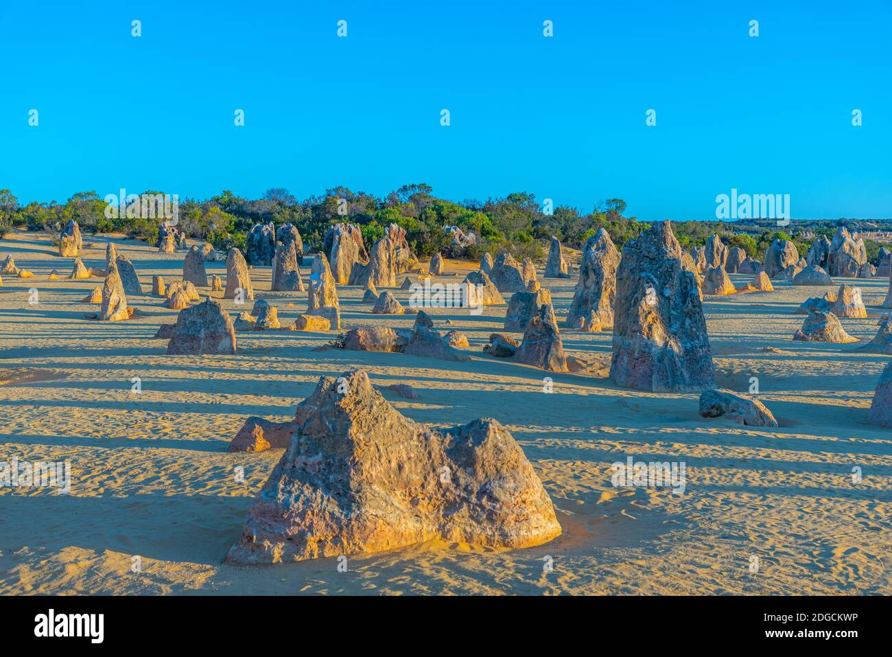 The pinnacles wa night hi-res stock photography and images - Alamy