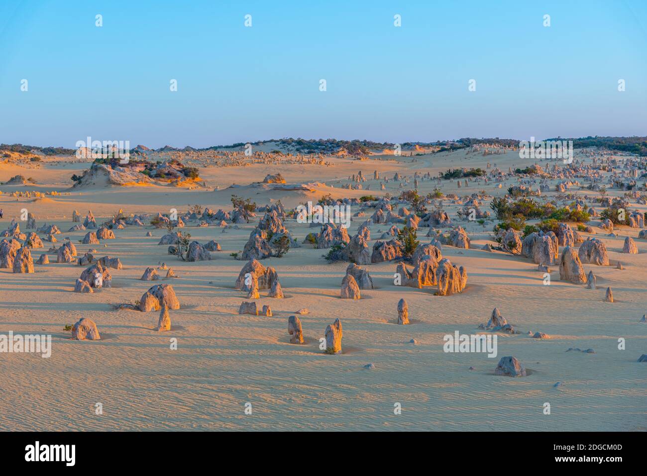 The pinnacles wa night hi-res stock photography and images - Alamy