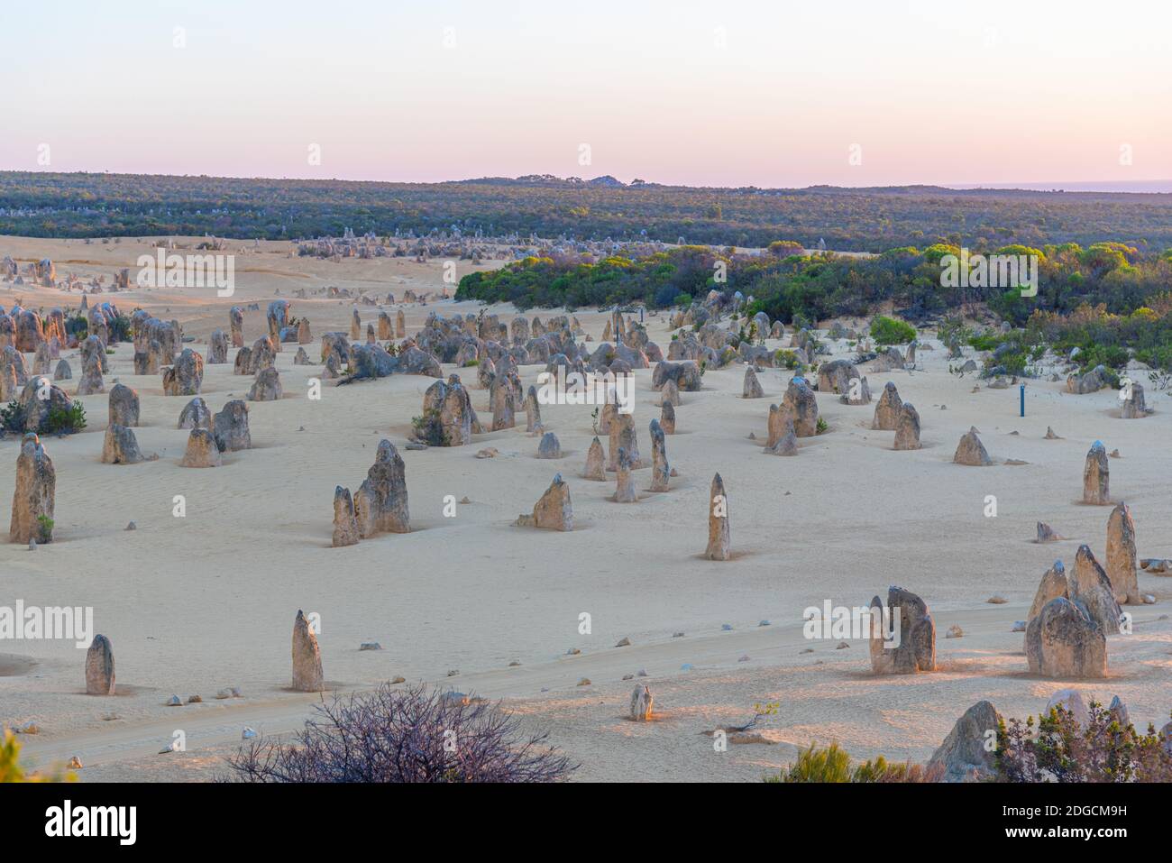 Sunset over the Pinnacles desert in Australia Stock Photo - Alamy