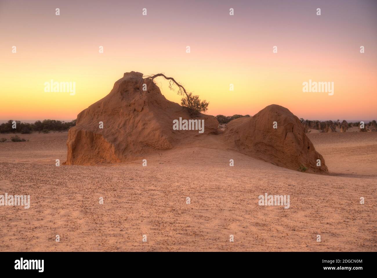 The pinnacles wa night hi-res stock photography and images - Alamy