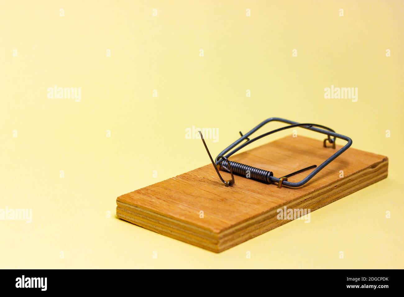 Empty mousetrap hi-res stock photography and images - Alamy