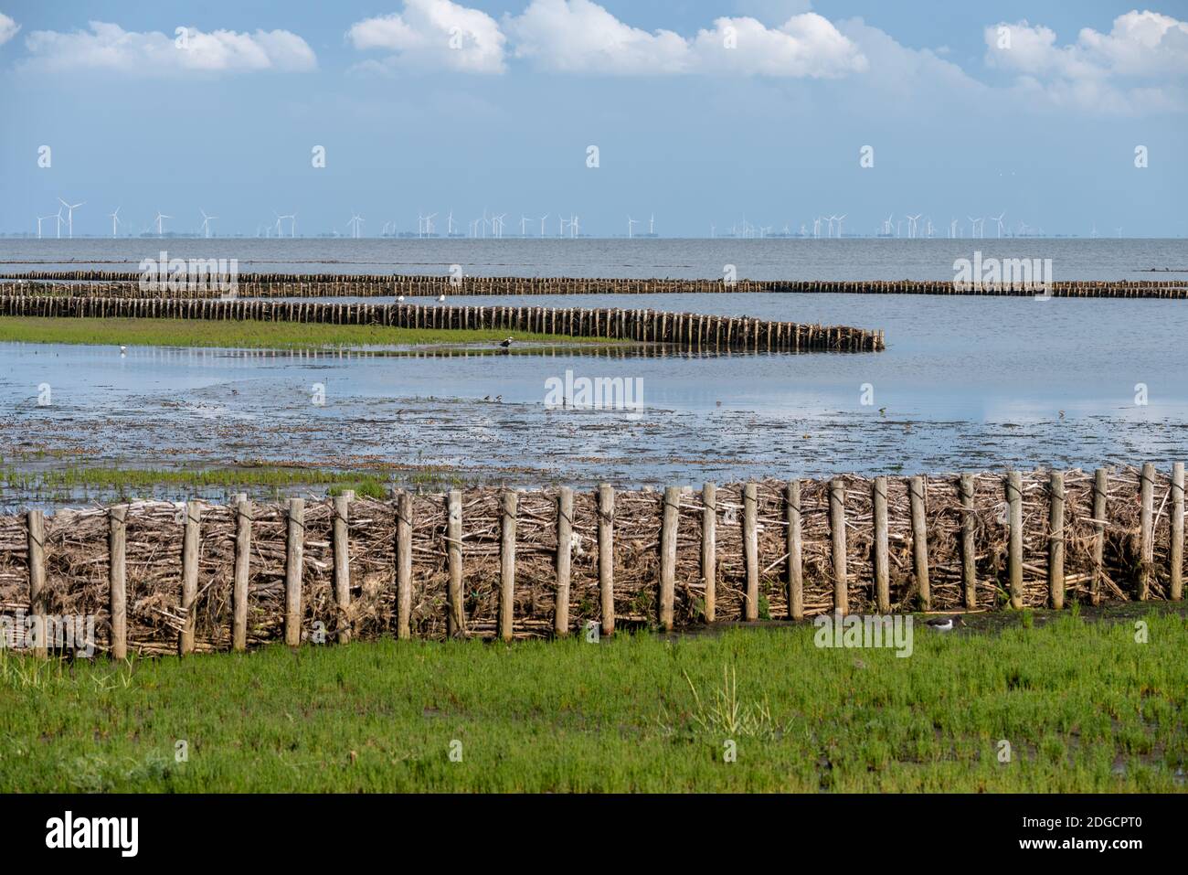 National Park Wadden Sea Stock Photo - Alamy
