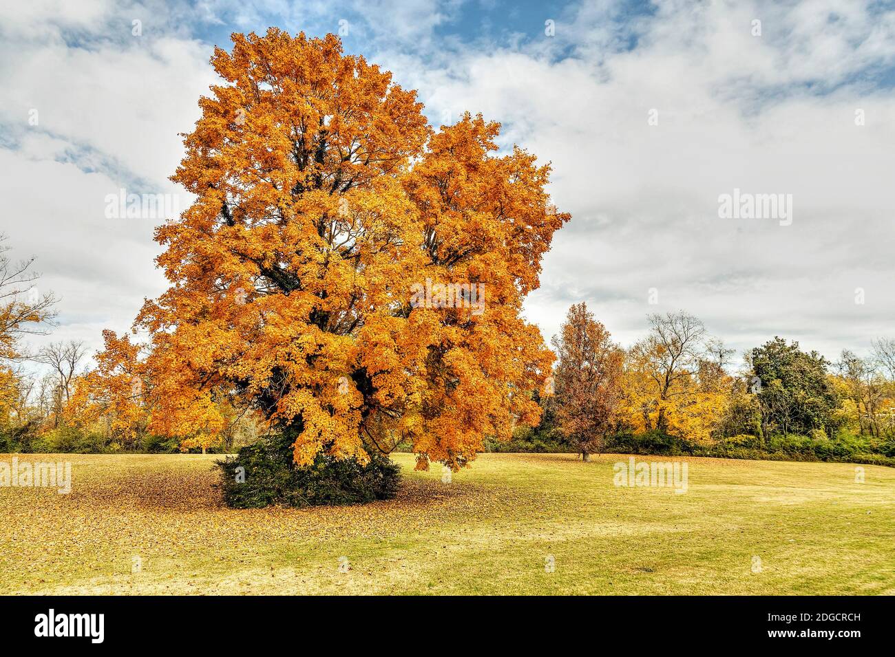 The beautiful colors of fall Stock Photo - Alamy