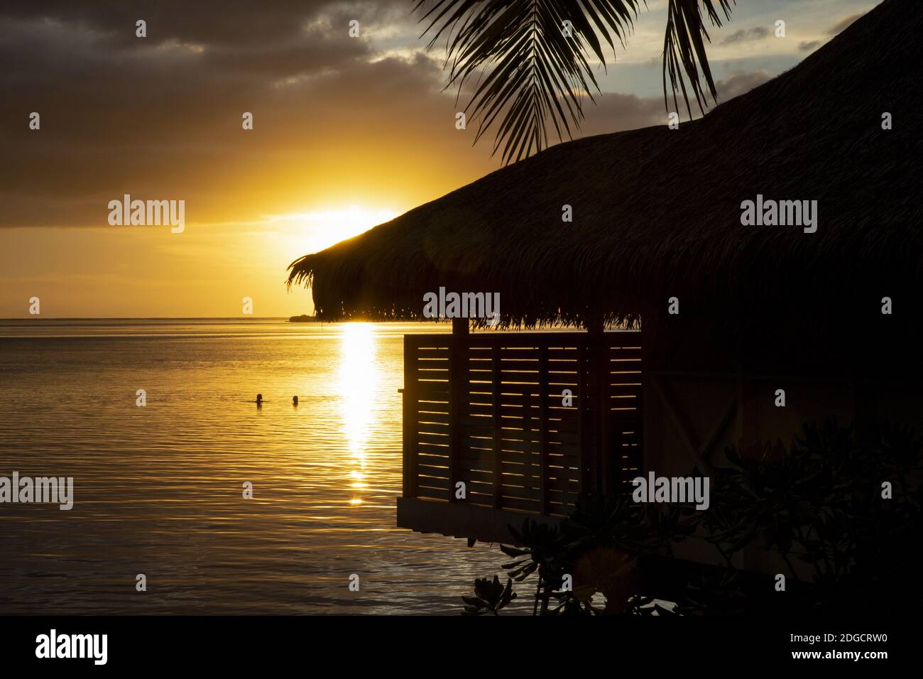 The swimming sunset hi-res stock photography and images - Alamy