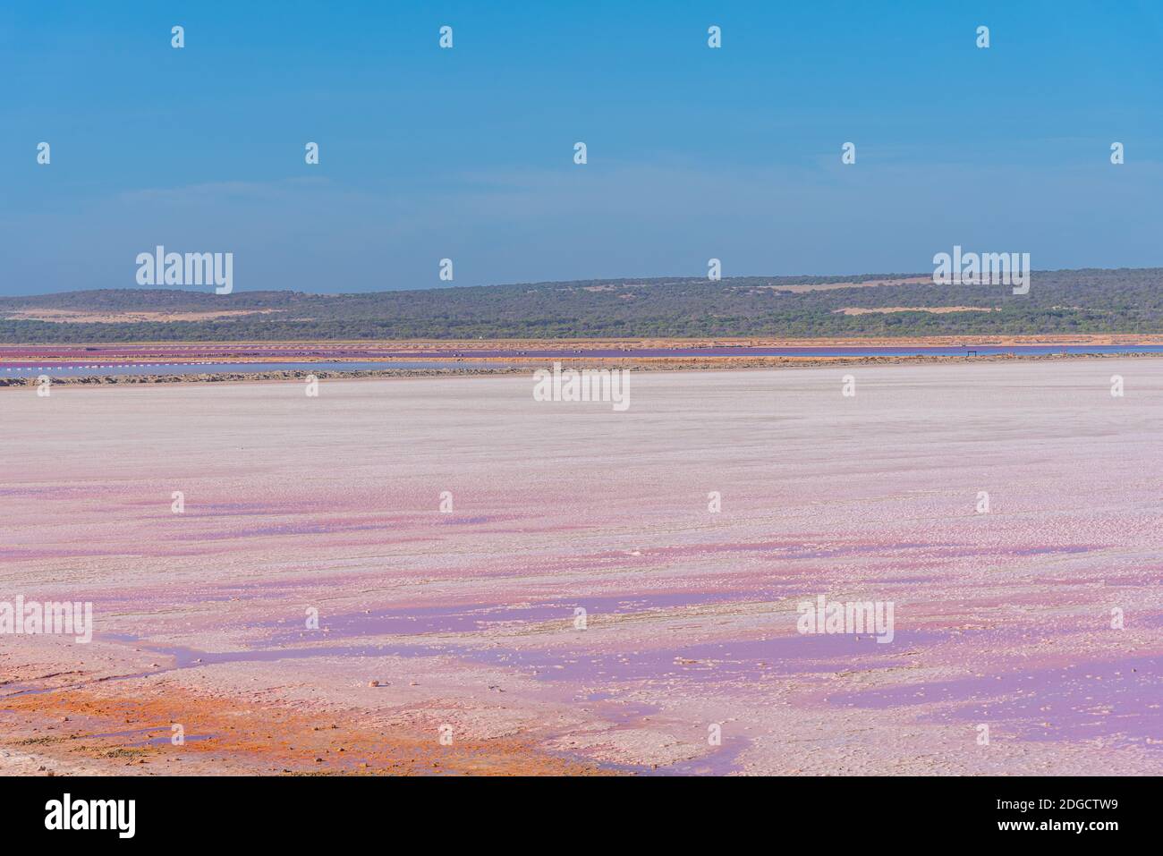 Pink lake at port gregory in Australia Stock Photo - Alamy