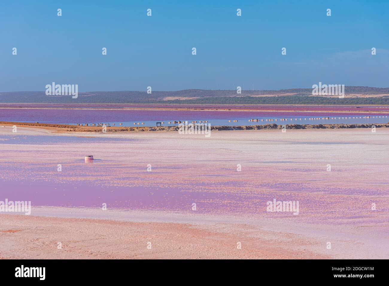 Pink lake at port gregory in Australia Stock Photo - Alamy