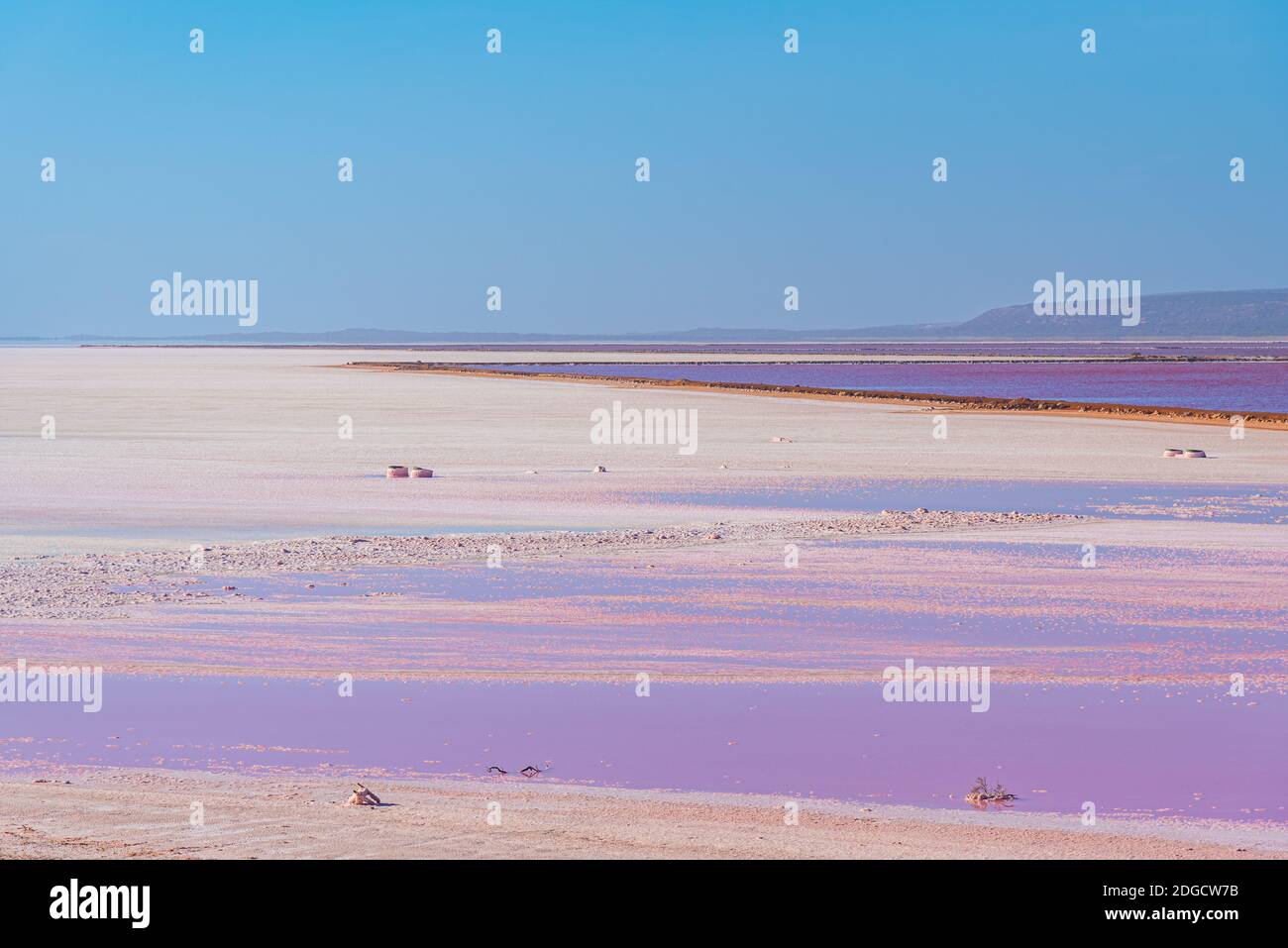 Pink lake port gregory hi-res stock photography and images - Alamy