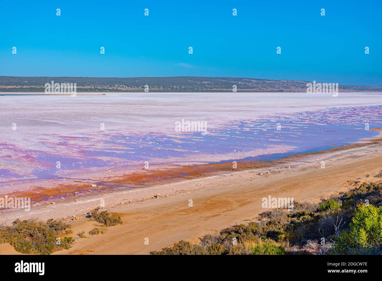 Pink lake at port gregory in Australia Stock Photo - Alamy