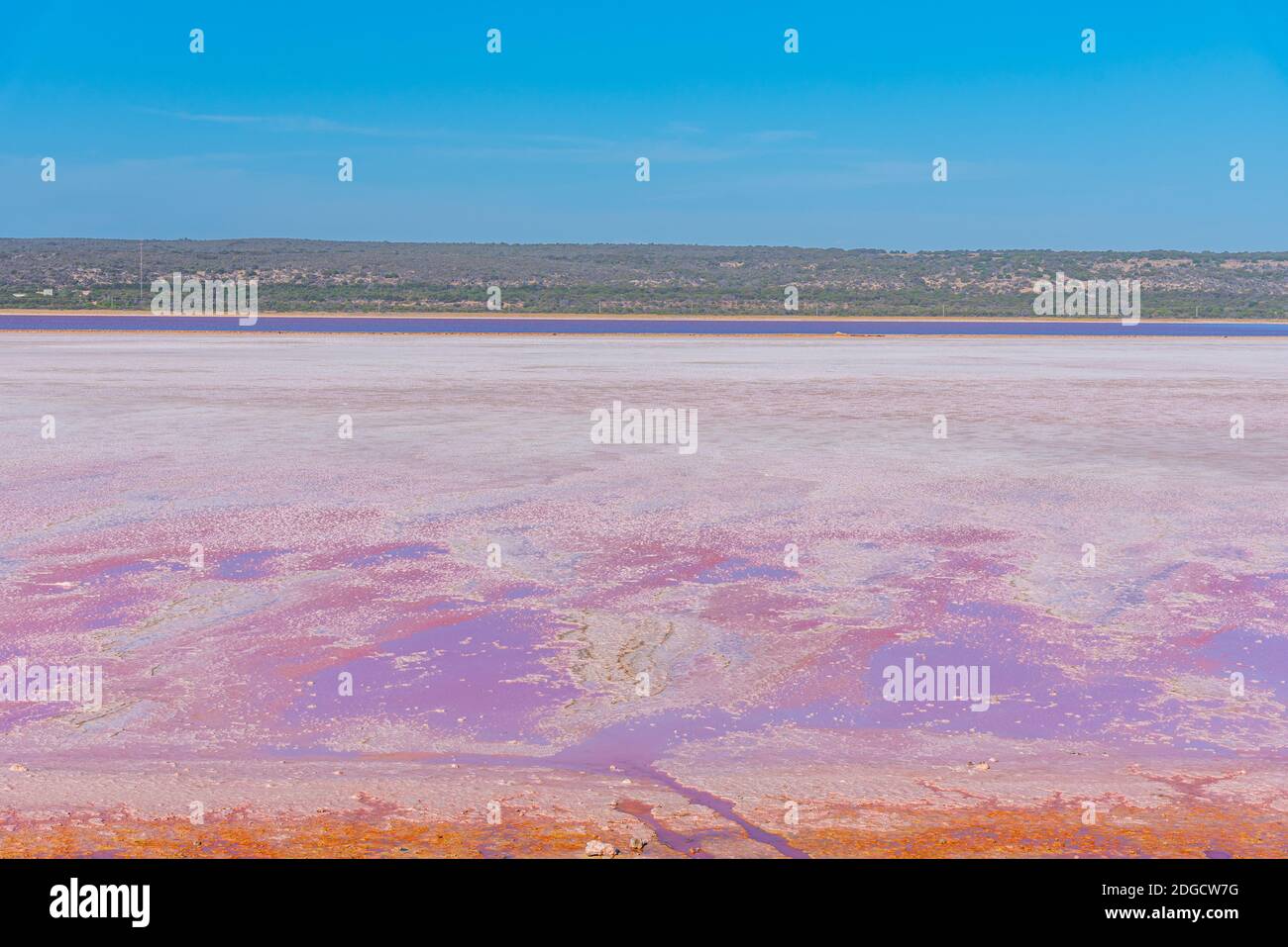 Pink lake at port gregory in Australia Stock Photo - Alamy