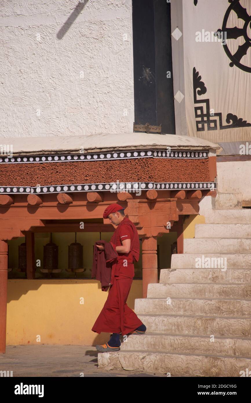 A young monk descending the steps from the Hemis monastery prayer hall ...