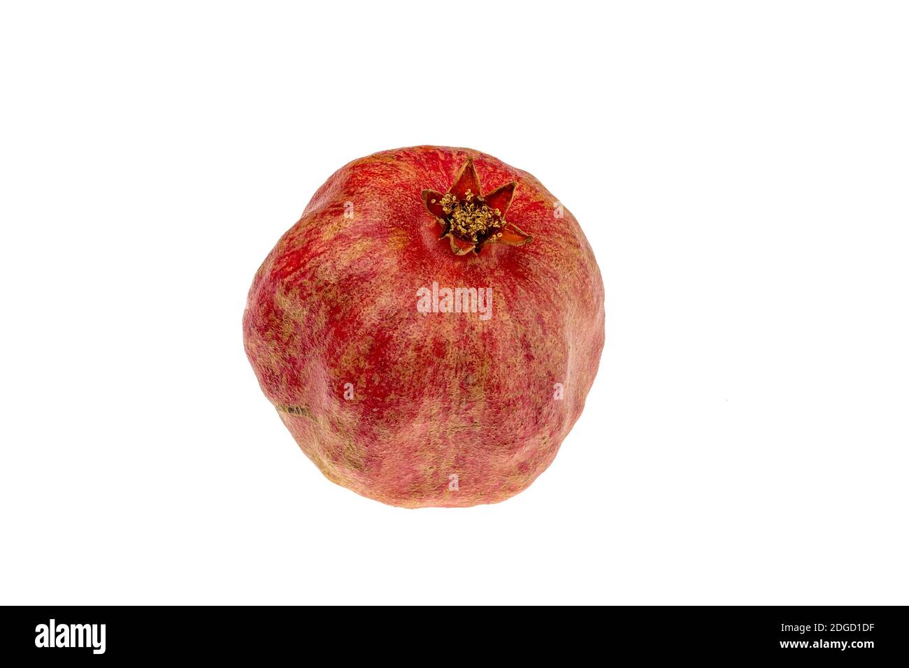 Pomegranate top view isolated hi-res stock photography and images - Alamy