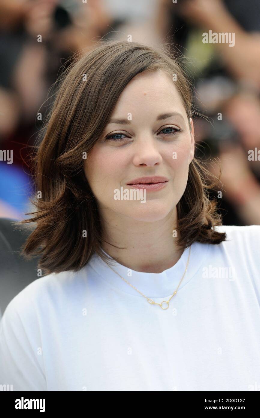 Marion Cotillard attending the Les fantomes d'Ismael photocall as part ...