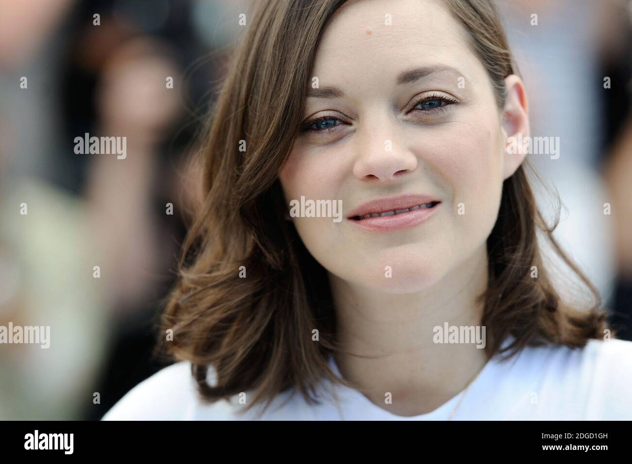 Marion Cotillard attending the Les fantomes d'Ismael photocall as part ...