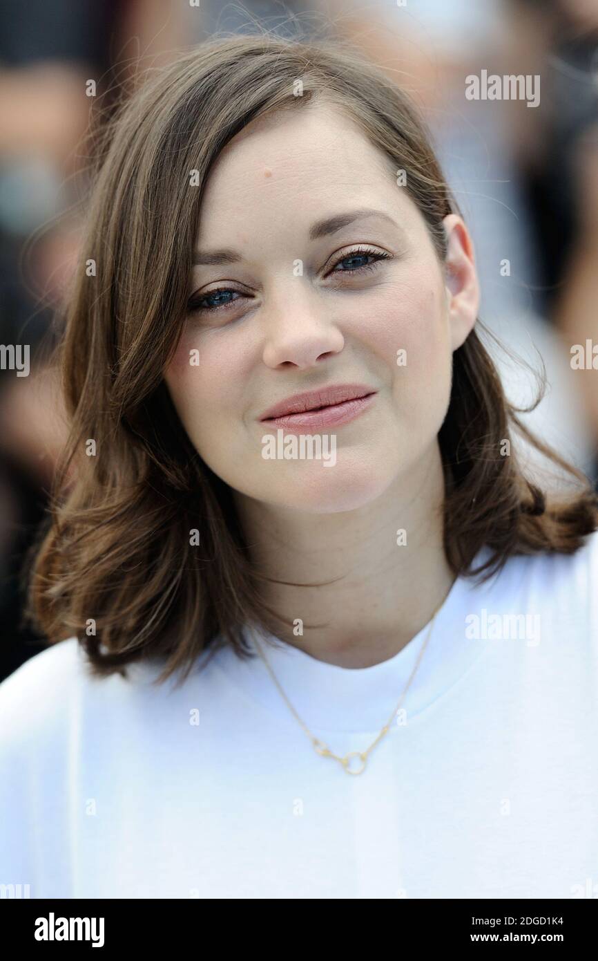 Marion Cotillard attending the Les fantomes d'Ismael photocall as part ...