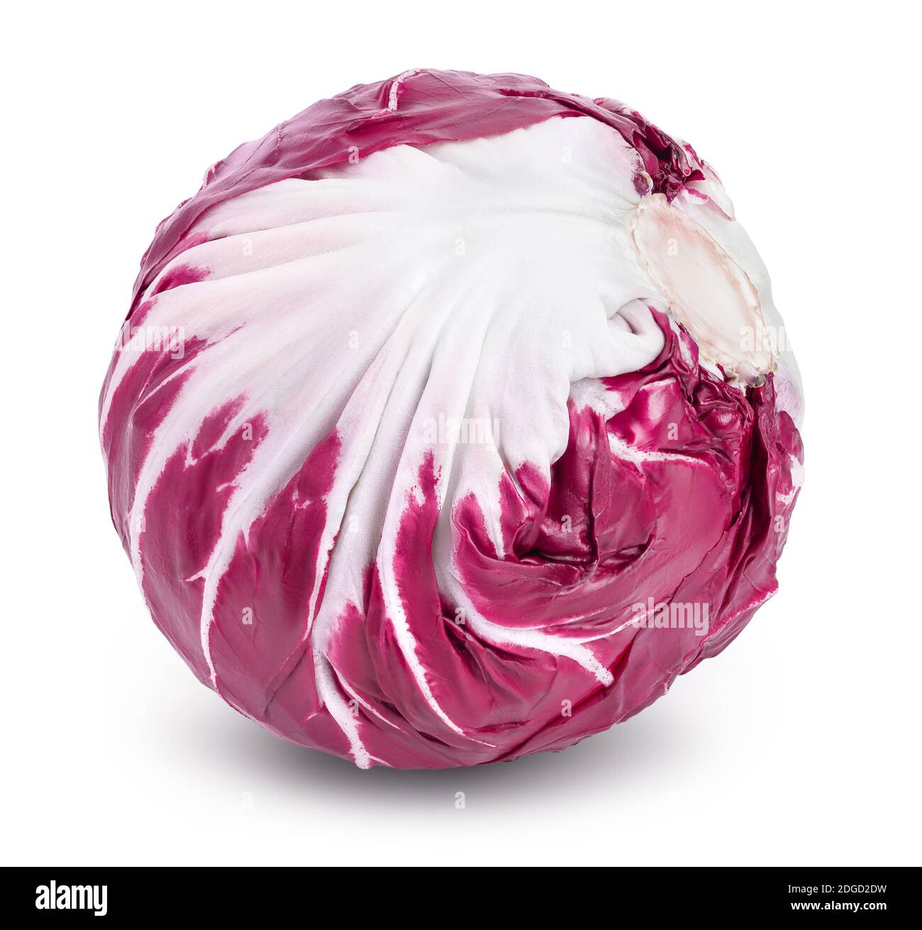 Fresh red radicchio salad isolated on white background with clipping ...