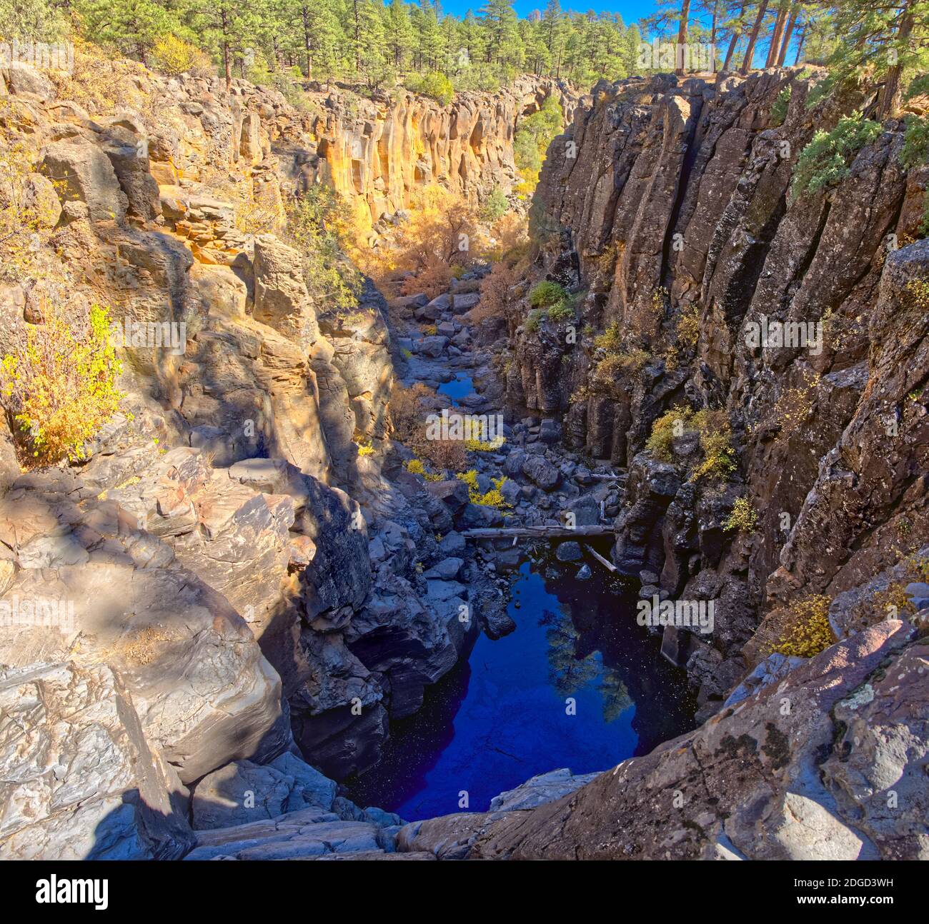 The blocky cliffs of Sycamore Falls in the Kaibab National Forest near ...