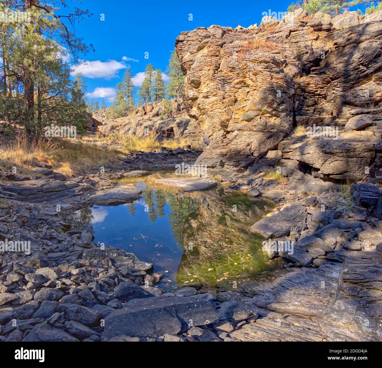 Pomeroy tanks hi-res stock photography and images - Alamy