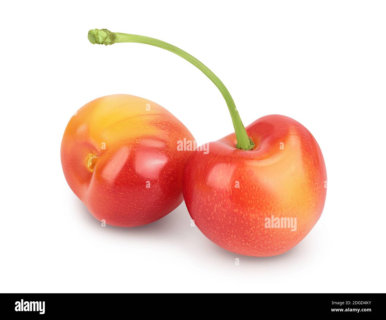 yellow-red sweet cherry isolated on white background with clipping path ...