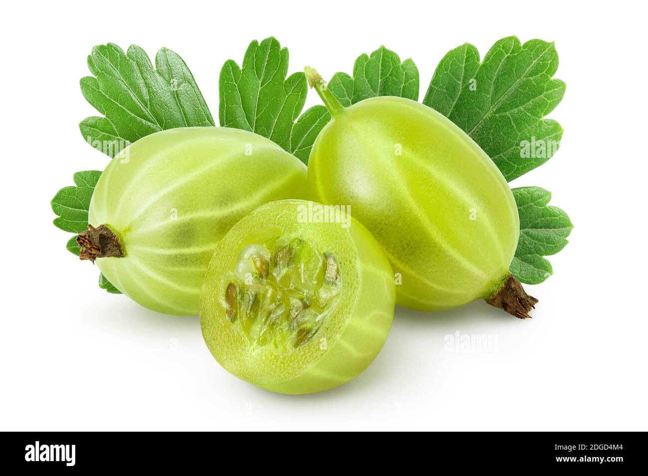 Green gooseberry with half isolated on white background with clipping ...