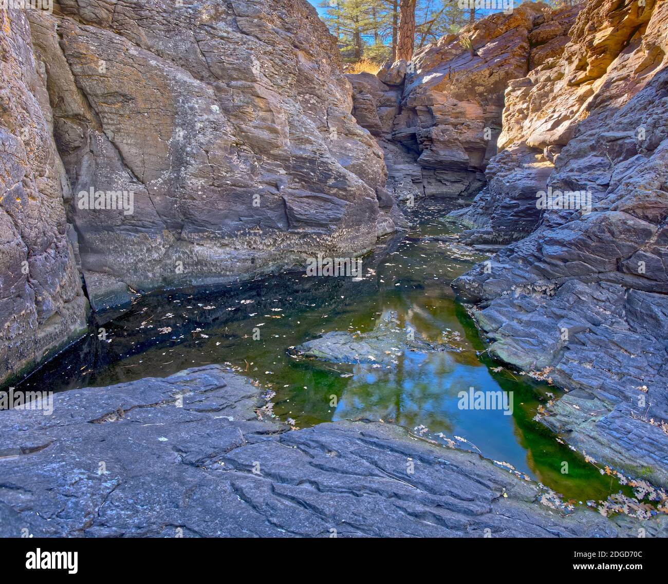 Pomeroy tanks hi-res stock photography and images - Alamy