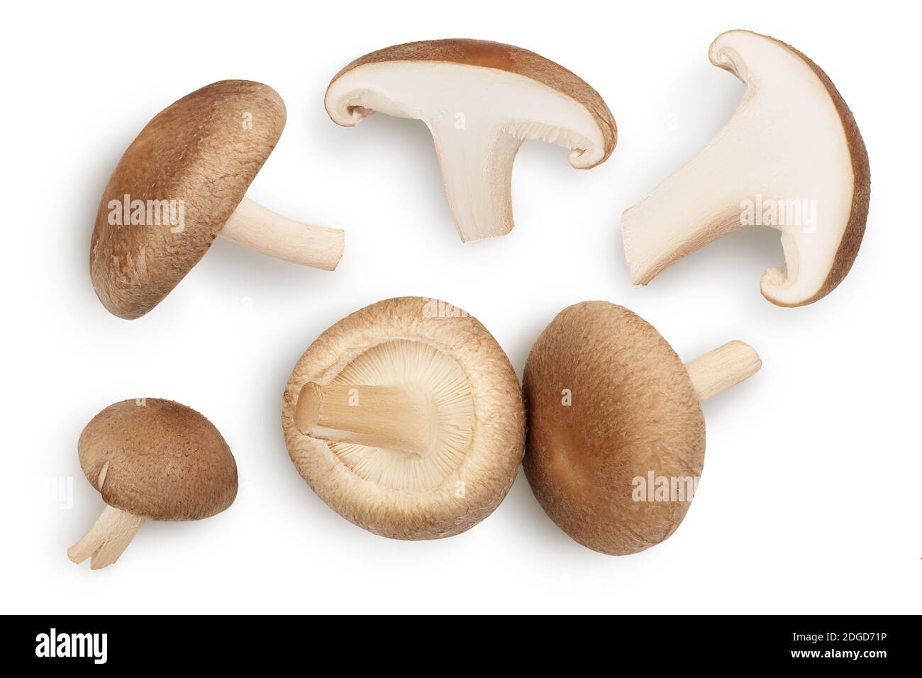 Fresh Shiitake mushroom isolated on white background with clipping path ...