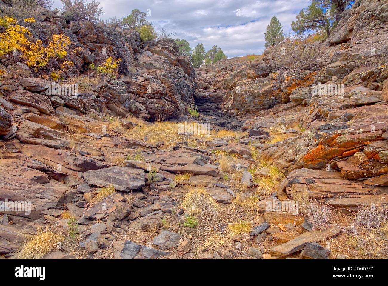 Sycamore creek hi-res stock photography and images - Alamy