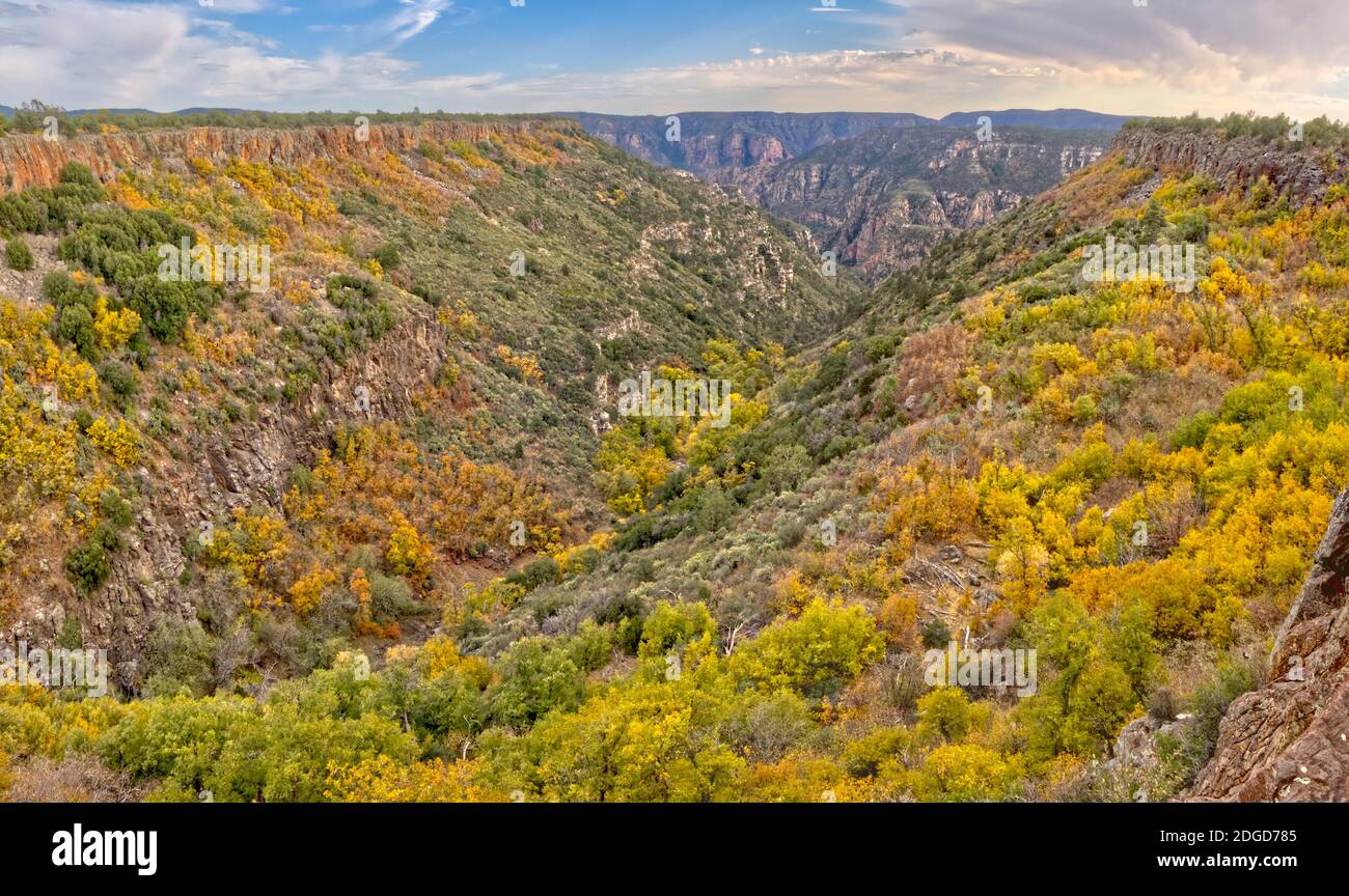 Sycamore creek hi-res stock photography and images - Alamy