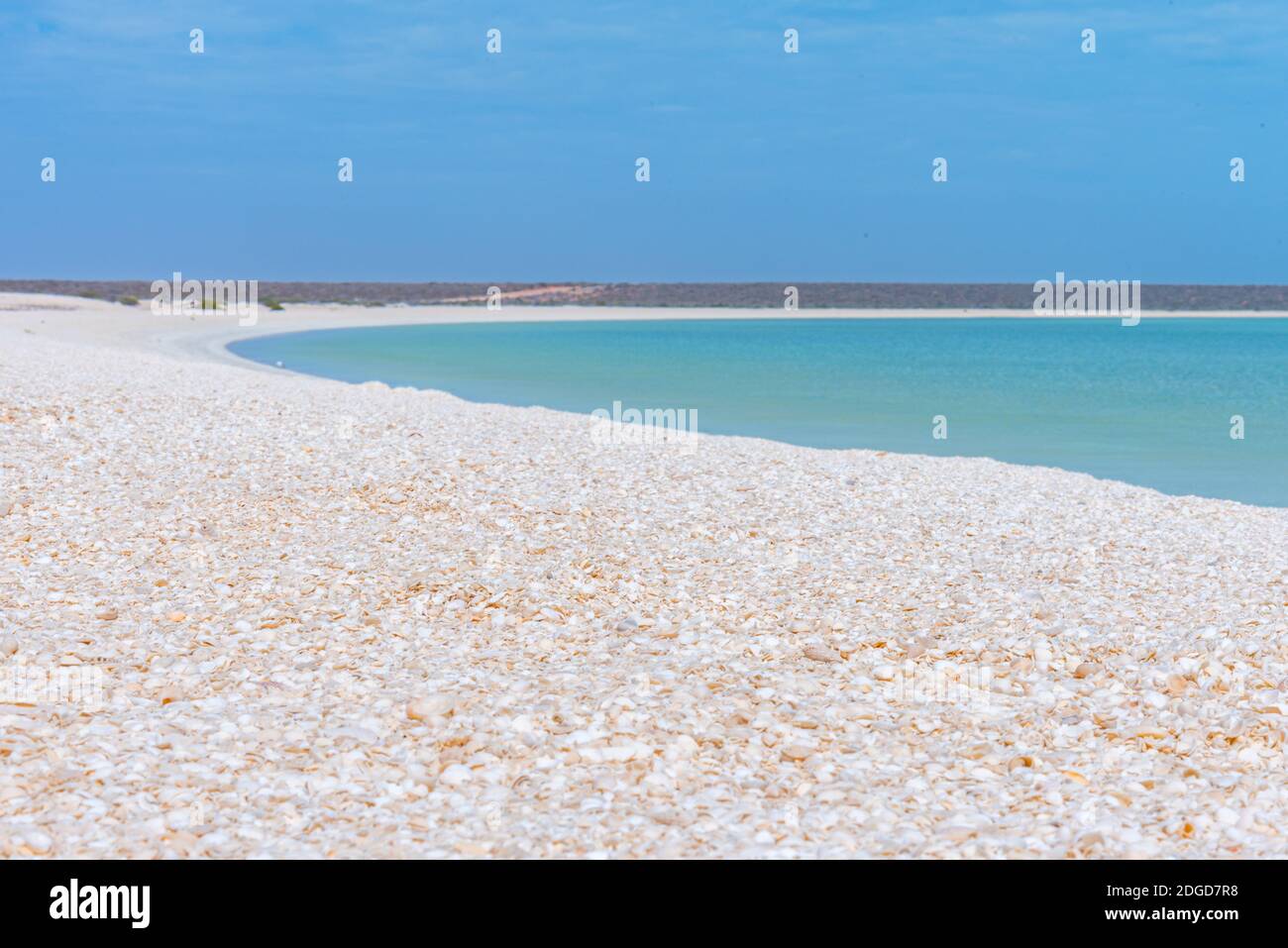 Shell beach at Francois Peron national park in Australia Stock Photo ...