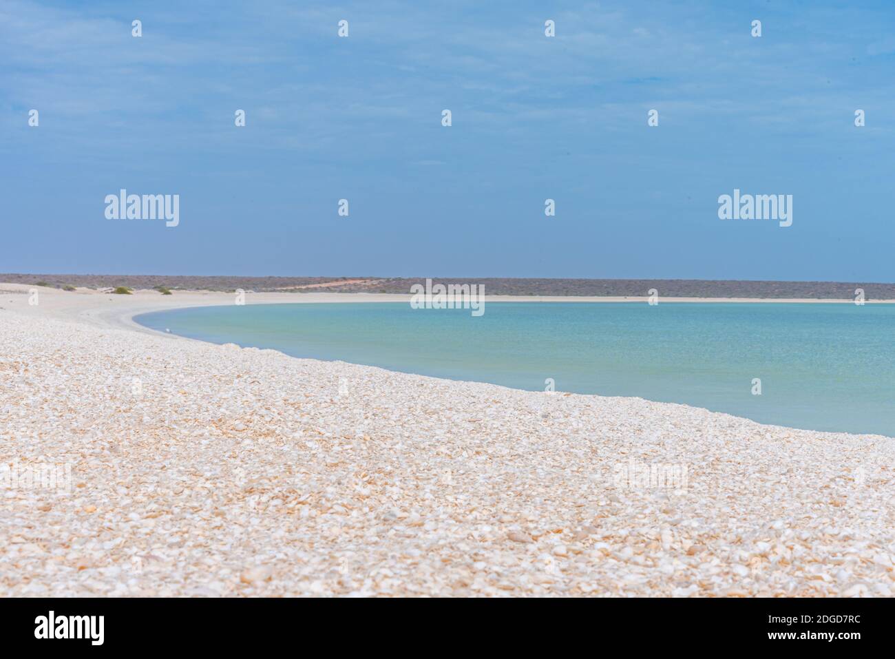 Shell beach at Francois Peron national park in Australia Stock Photo ...
