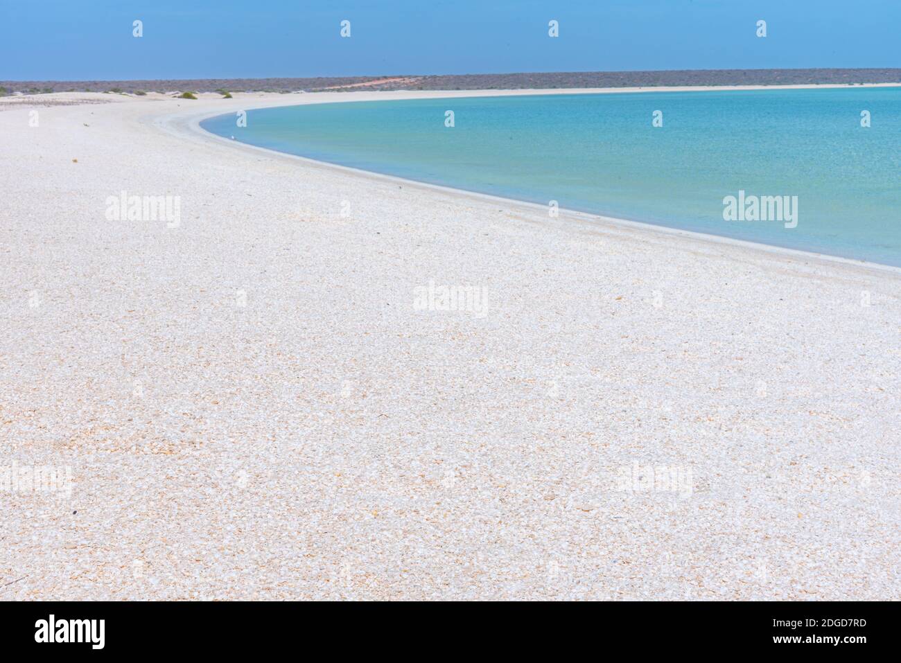 Shell beach at Francois Peron national park in Australia Stock Photo ...