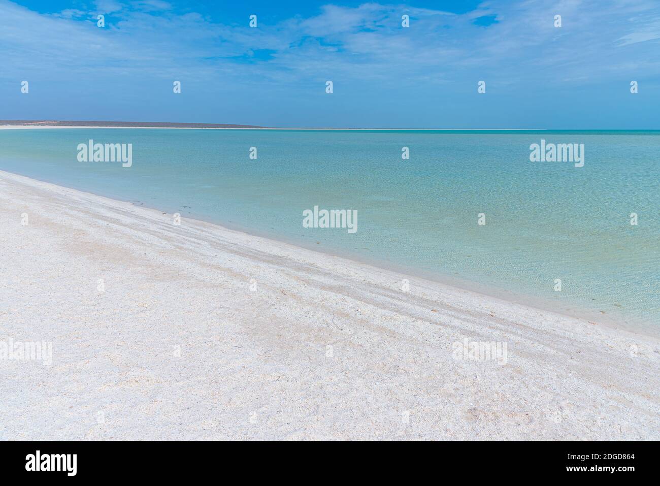 Shell beach at Francois Peron national park in Australia Stock Photo ...