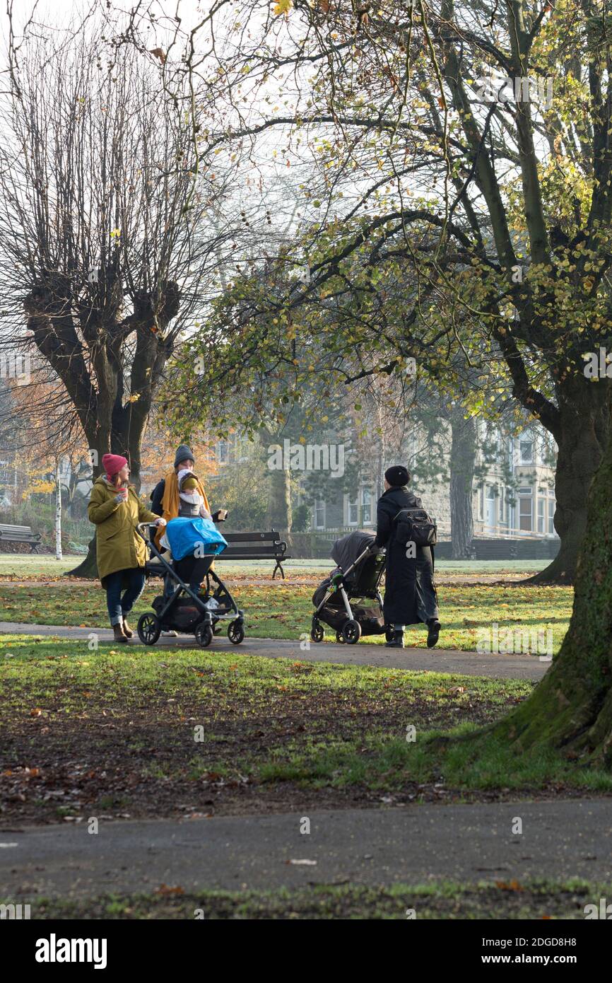 Mums walking in the park with young children Stock Photo - Alamy