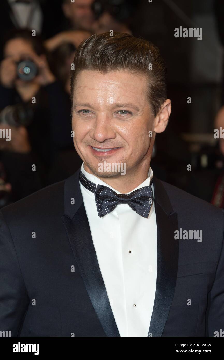 Jeremy Renner arriving on the red carpet of 'The square' screening held ...