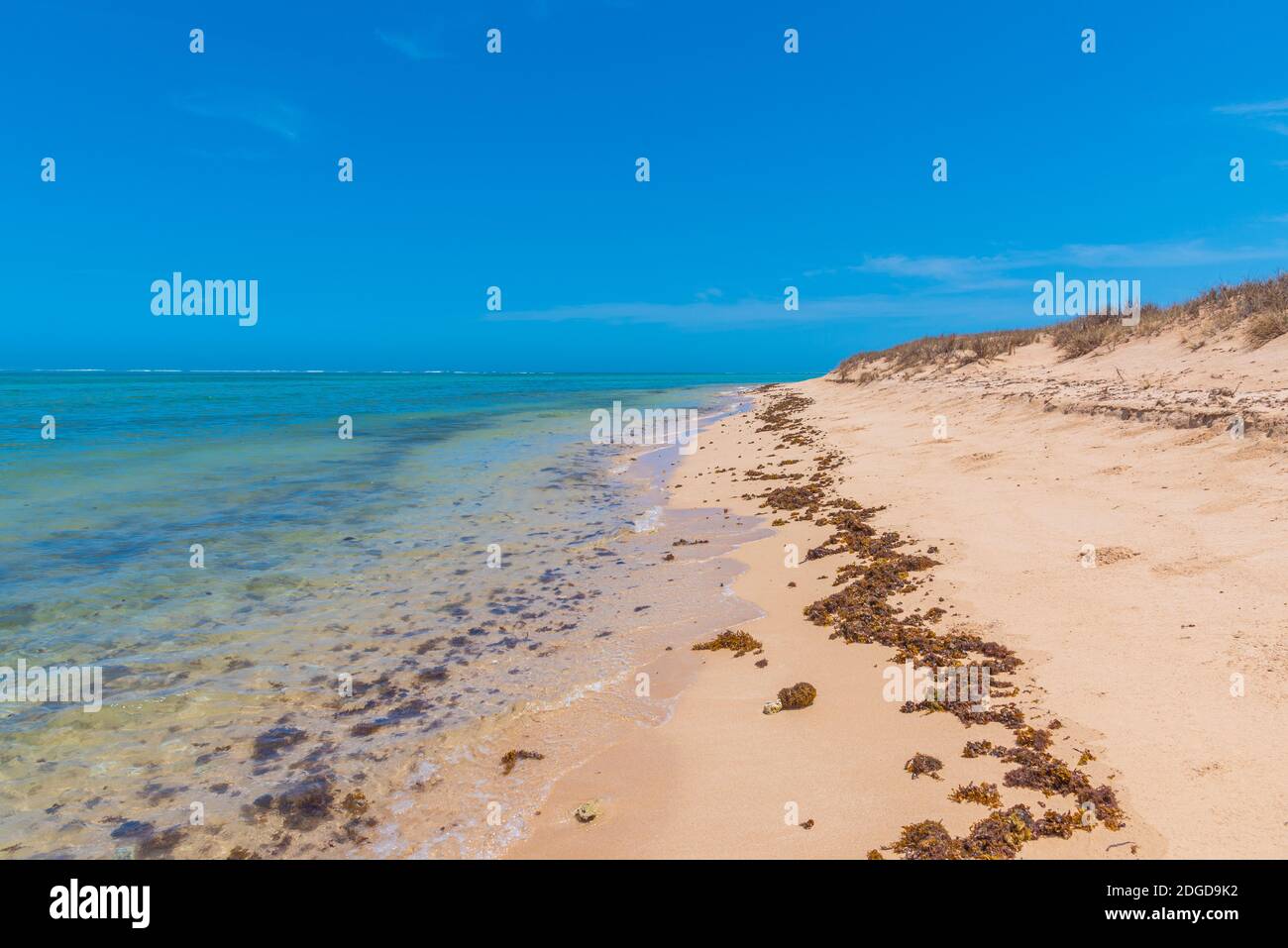 Beach at Cape range national park in Australia Stock Photo - Alamy