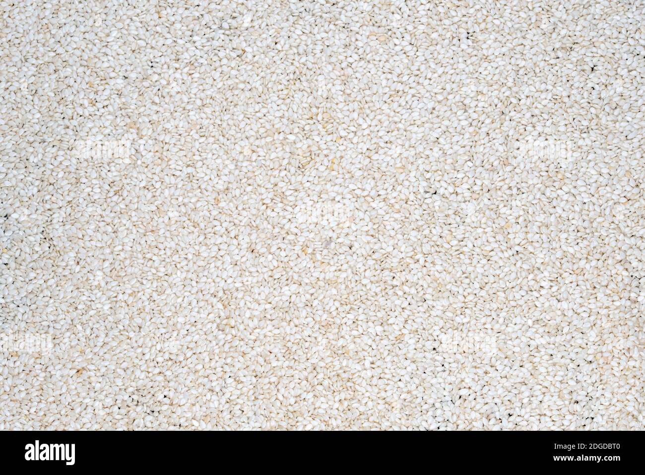 Sesame seed pod hi-res stock photography and images - Alamy