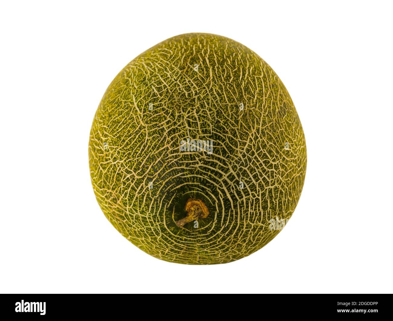 Green melon along a white background close-up with a natural pattern ...