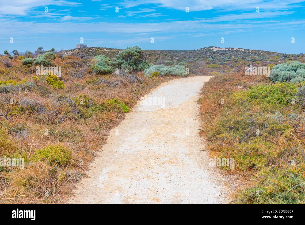Road winding through Rottnest island in Australia Stock Photo - Alamy