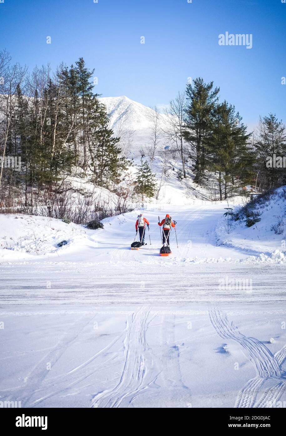 Two men ski across a road dragging pulk sleds in winter Stock Photo - Alamy