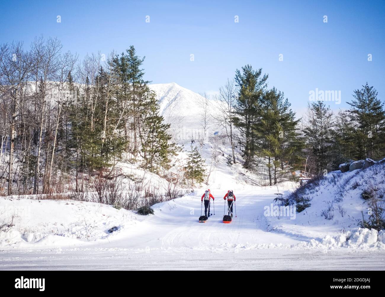 Two men ski across a road dragging pulk sleds in winter Stock Photo - Alamy