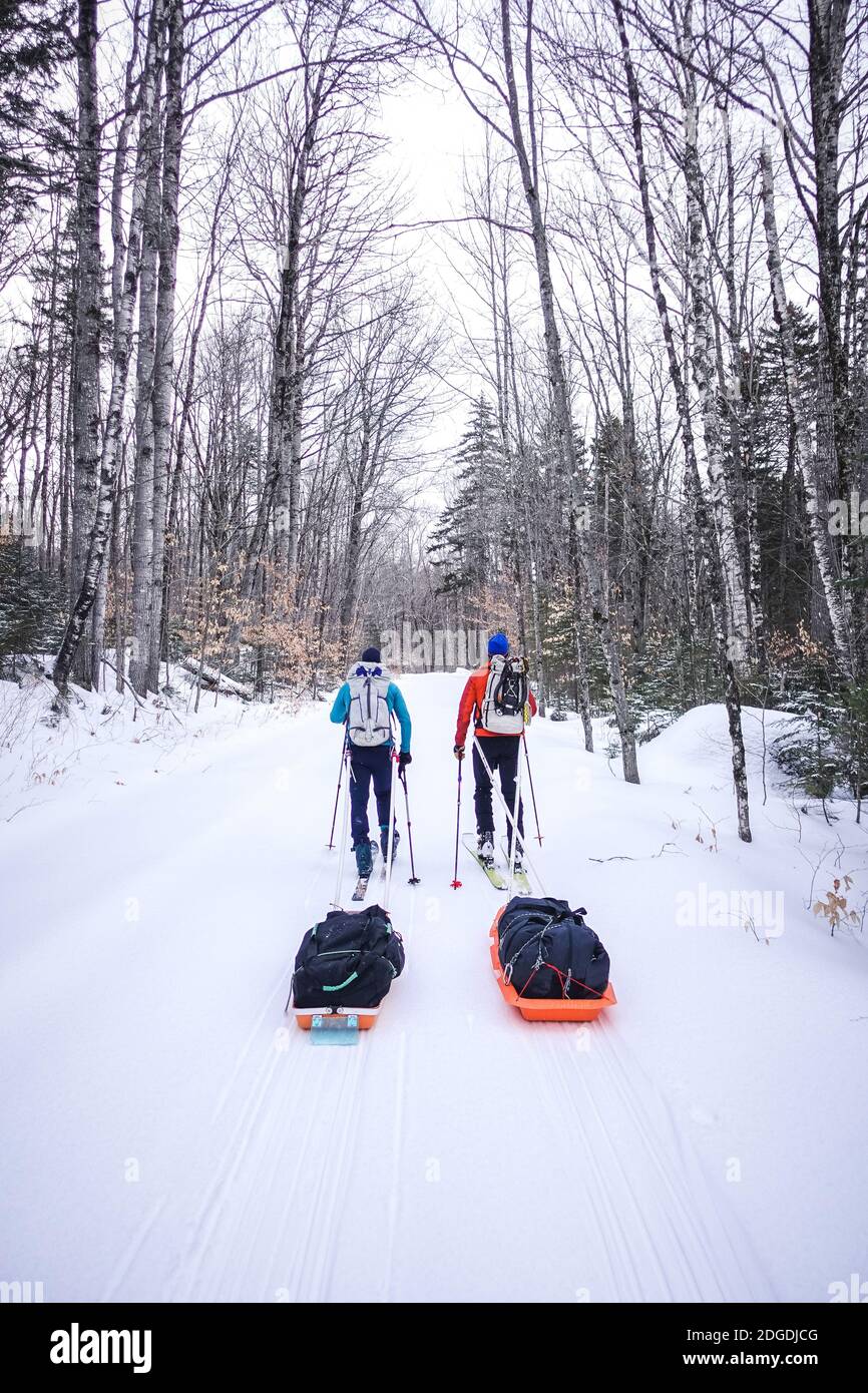 Two men ski on a trail dragging pulk sleds in winter Stock Photo - Alamy