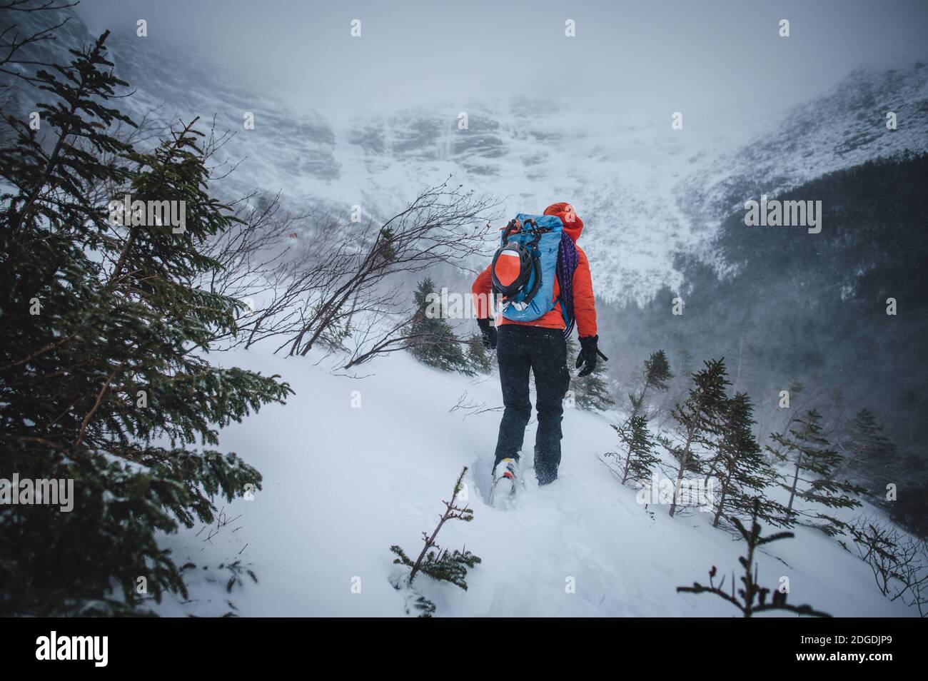 An alpine climber walks through blowing snow while headed to a climb ...
