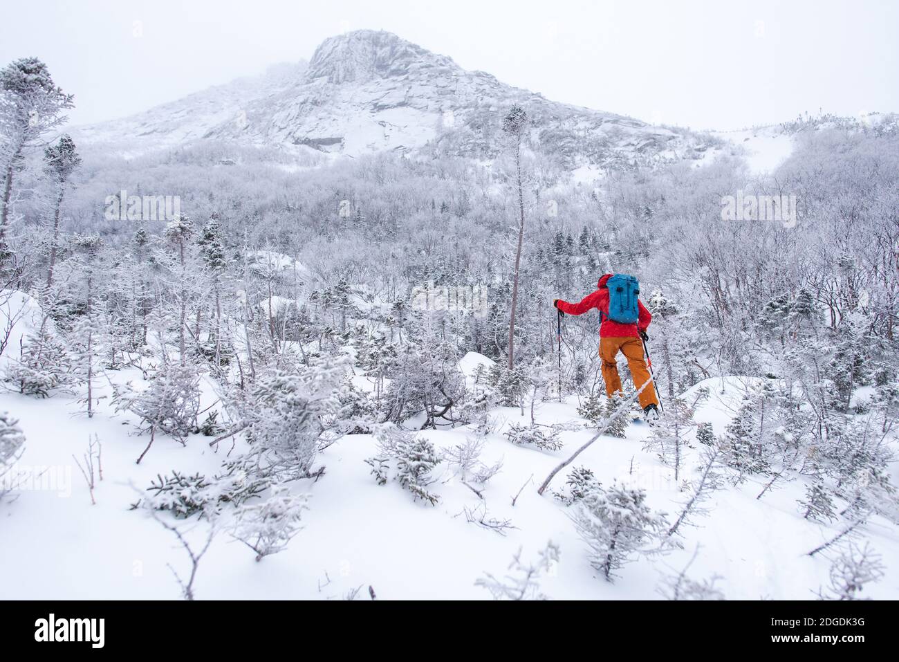 Man skiing through a boulder field in the alpine Stock Photo - Alamy