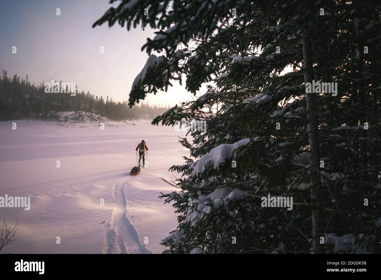 Skier pulling pulk sled walking across a frozen lake at sunrise Stock ...
